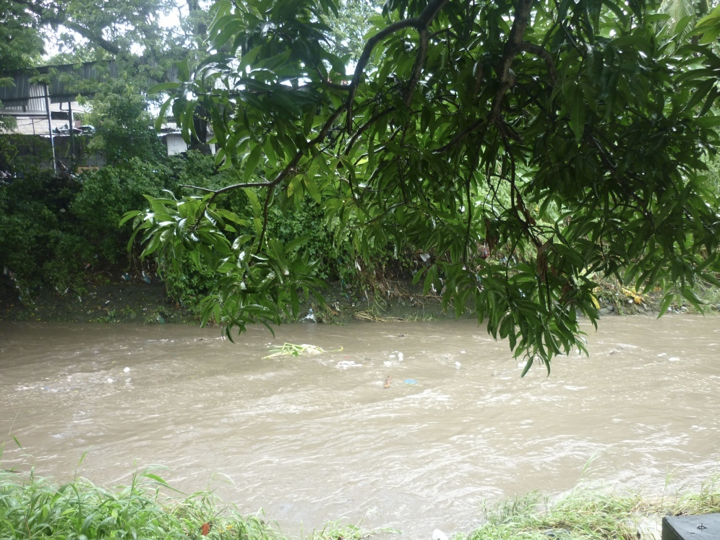 Análisis de la cuenca del río Río Abajo, proyección a diez años ...